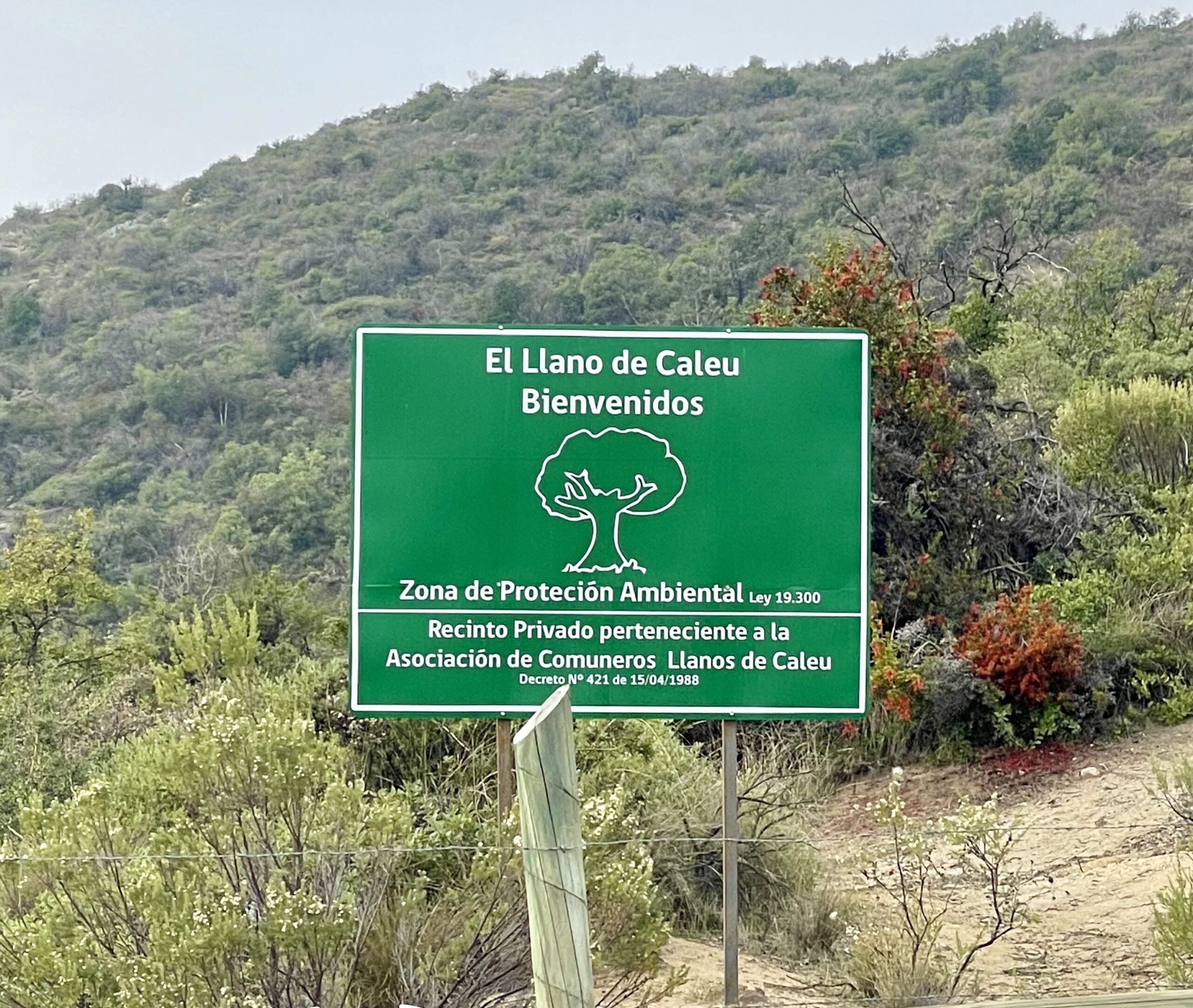 Homee – Bosquentrama, observatorio territorial de los bosques nativos ...